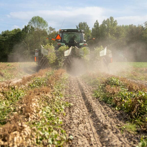 What Does the Tractor Do? The Ultimate Guide to Understanding Tractors